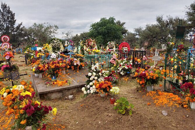 The authentic tour of the day of the dead in San Miguel d Allende - FAQ