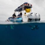 The Best 2.5 Hour Molokini Snorkel Tour & Whale Watch - The Itinerary: What to Expect