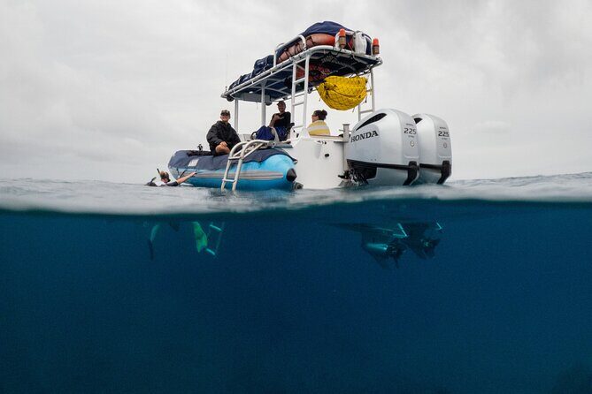 The Best 2.5 Hour Molokini Snorkel Tour & Whale Watch - The Itinerary: What to Expect