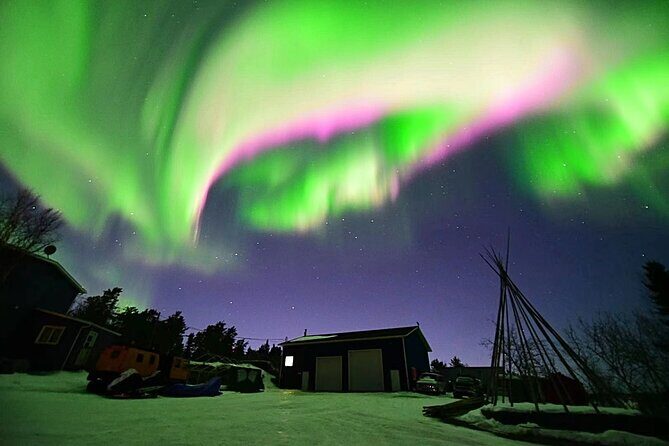 The Best Aurora Tour - Who Should Consider This Tour?
