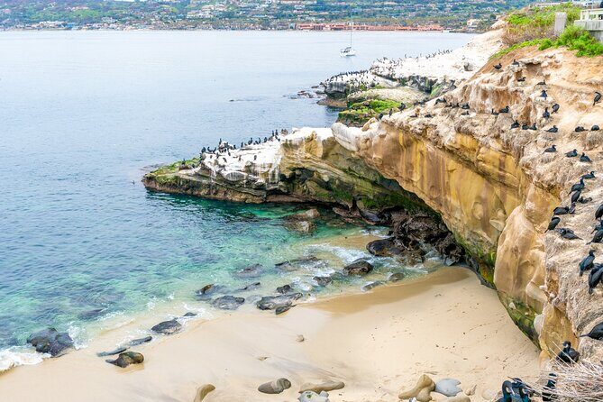 The Best of La Jolla Walking Tour: Sip, Savor & Sea - Breakdown of the Itinerary