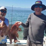The best sport fishing - What Makes This Fishing Tour Stand Out