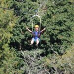 The Big Zip Experience - Authentic Perspectives from Reviewers