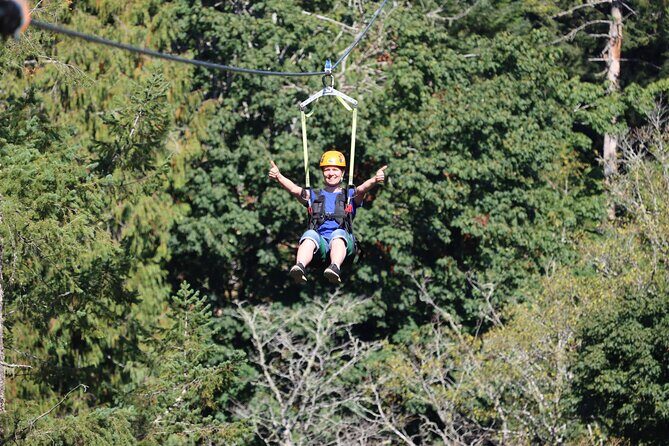The Big Zip Experience - Authentic Perspectives from Reviewers