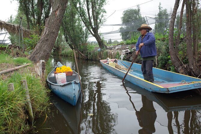 The City Green Exploring the Urban Eco Reserve of Xochimilco - FAQs