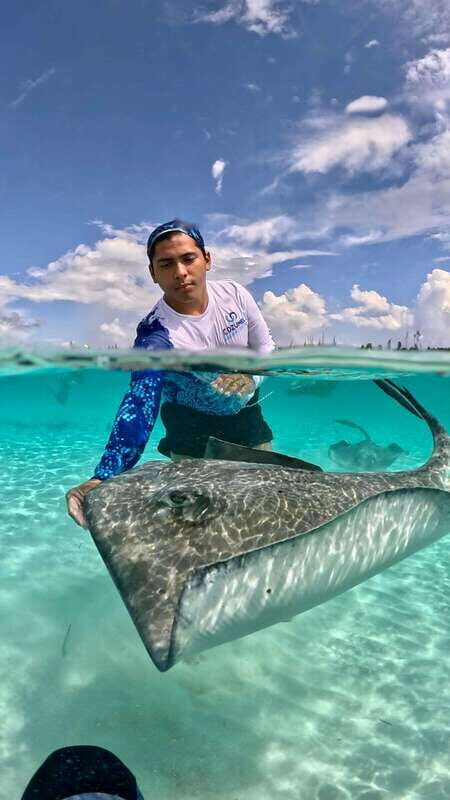 The Cozumel Turtle Sanctuary Snorkel Tour - The Value: Is It Worth It?