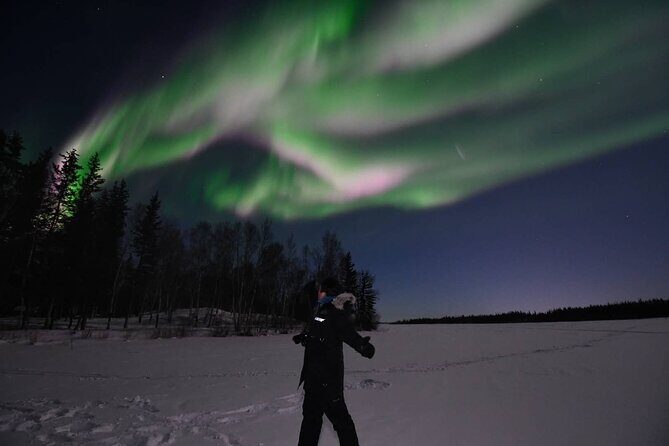 The Greatest Valuable Aurora Manor & Hunting Tour --Exclusive Tour Operator - Who Will Love This Tour?