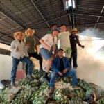 The Mezcal Journey - The Itinerary Breakdown