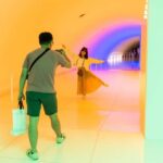 The Museum of Fine Arts, Houston Entry Ticket - Who Will Love This Experience?