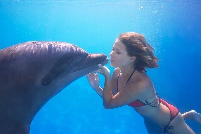The only Natural Space Dolphin Encounter in Cabo Optional Pickup! - Who Will Love This Tour?