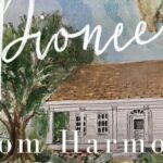 The Palmetto Pioneers: A Self-Guided Monticello Walking Tour - Who Will Love This Tour?