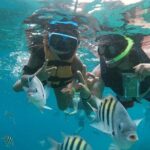 The Perfect Day in Chankanaab Park Cozumel - Practical Details and Tips