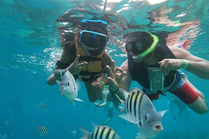 The Perfect Day in Chankanaab Park Cozumel - Practical Details and Tips