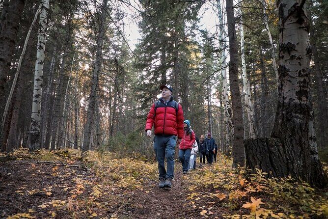The Sacred Mountains Of Banff And Canmore Walking Tour - The Experience’s Strengths and Limitations