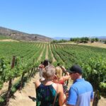 The Shared Temecula Wine Tour from Anaheim - Final Thoughts