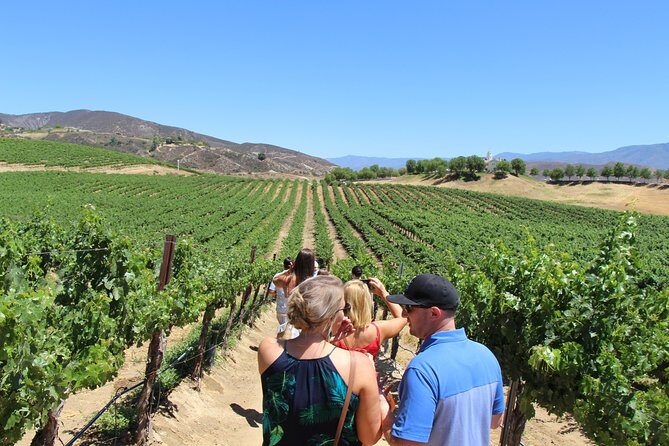 The Shared Temecula Wine Tour from Anaheim - Final Thoughts