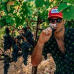 The Ultimate Wine Country Experience ( Private & All-Inclusive) - Navigating the Price and Overall Value
