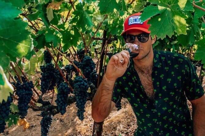 The Ultimate Wine Country Experience ( Private & All-Inclusive) - Navigating the Price and Overall Value