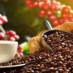 The World of Latte Art: Coffee from the Chiapas Creamy Heart - FAQ