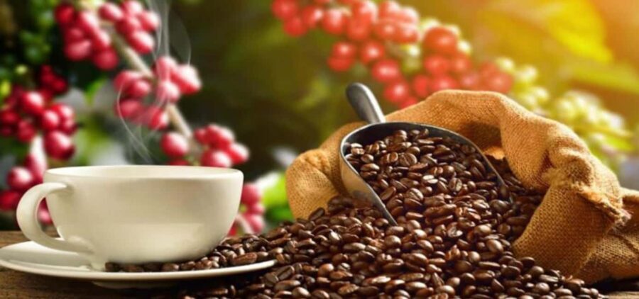 The World of Latte Art: Coffee from the Chiapas Creamy Heart - FAQ