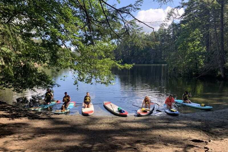 Thetis Lake: Paddle Board Tour with Gear Included - What the Tour Entails