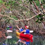 Tierra Verde FL: Coastal Kayaking Tour in Shell Key - Who Should Consider This Tour?