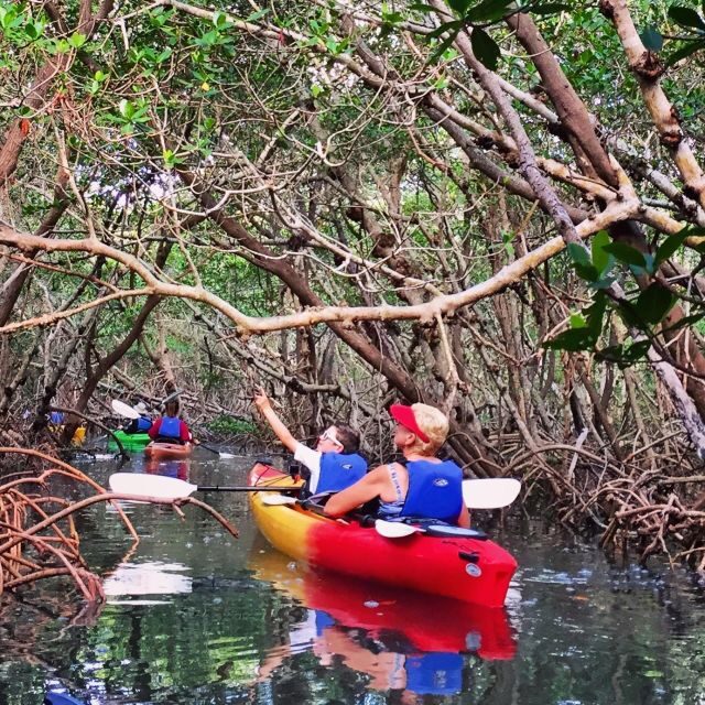 Tierra Verde FL: Coastal Kayaking Tour in Shell Key - Who Should Consider This Tour?