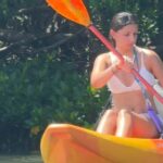Tierra Verde: Shell Key Mangrove Private Guided 1.5 hr Tour - What to Bring and Consider