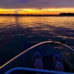 Titusville: Bioluminescent Clear Kayak Tour - Practical Details and Value