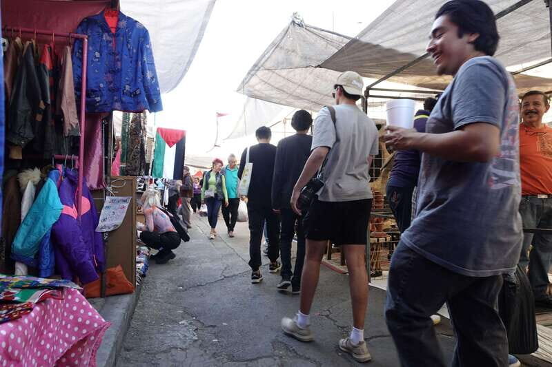 Tlatelolco and La lagunilla Market Mexico City Walking tour - Why This Tour Is Worth Considering