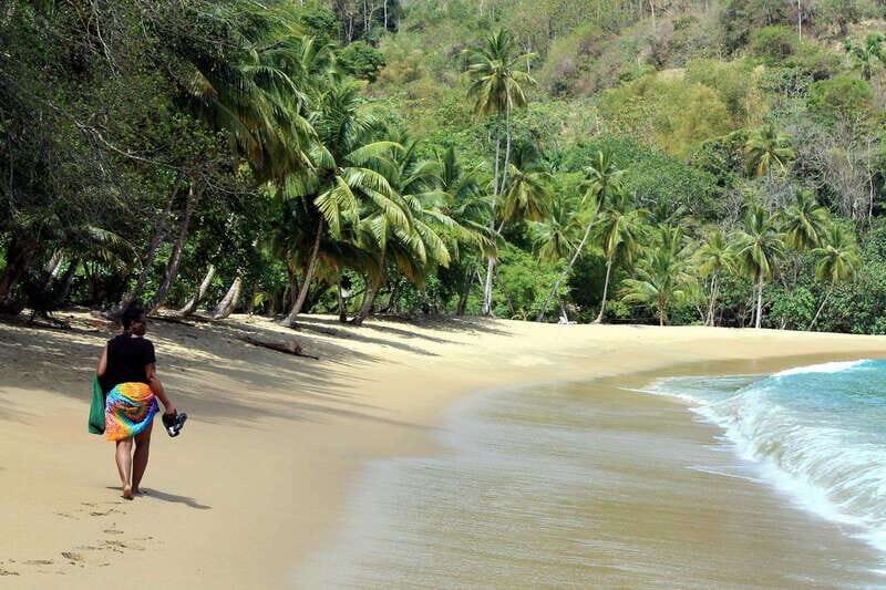 Tobago: Island Circle - Why This Tour Works