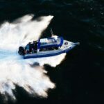 Tofino: Covered Boat Winter Wildlife Watching Tour - What to Expect on the Tour