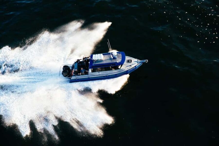 Tofino: Covered Boat Winter Wildlife Watching Tour - What to Expect on the Tour