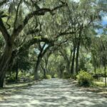 Tombs of Savannah: Bonaventure Cemetery Experience - What to Expect on the Day