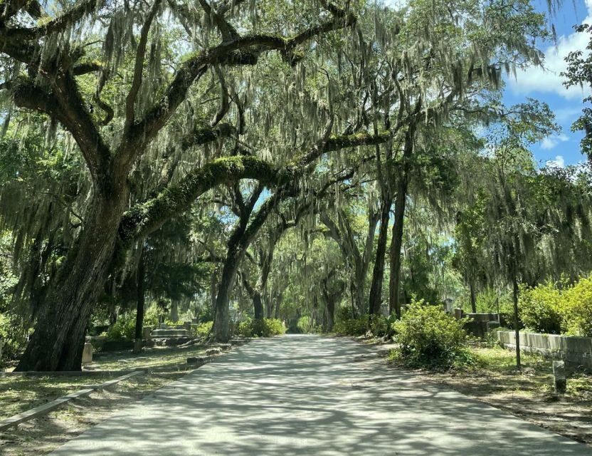 Tombs of Savannah: Bonaventure Cemetery Experience - What to Expect on the Day