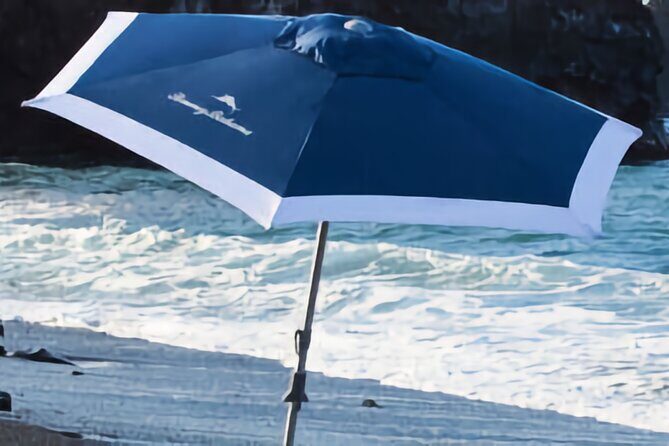 Tommy Bahama Beach Equipment Rental Essentials - Pricing and Value