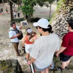 Top Experience : Chacchoben Mayan Ruins & Beach Club - What You Can Expect on This Tour