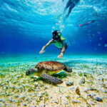 Top Experience: Snorkel & Beach Club All Inclusive / Open Bar & Lunch - Why This Tour Works for Most Travelers