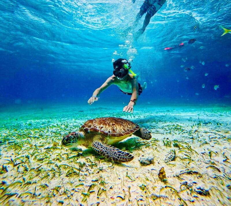 Top Experience: Snorkel & Beach Club All Inclusive / Open Bar & Lunch - Why This Tour Works for Most Travelers