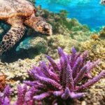 Top Snorkeling Experience in Puerto Morelos Reef - Why This Tour Works Well for Travelers