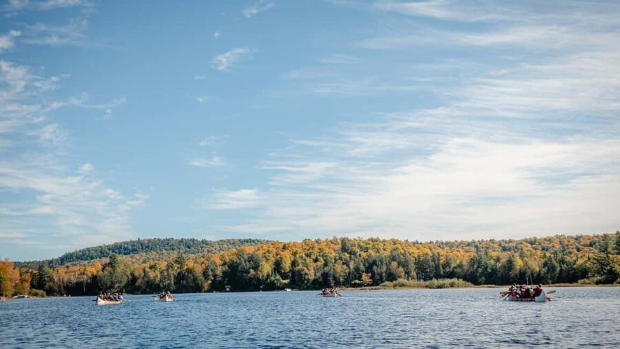 Toronto: Algonquin Park and Ragged Falls Day Trip - Analyzing the Value and Practicalities