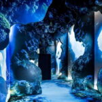Toronto: Arcadia Earth, Immersive Experience Anytime Ticket - The Experience: What to Expect