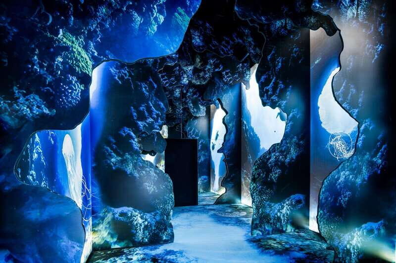 Toronto: Arcadia Earth, Immersive Experience Anytime Ticket - The Experience: What to Expect