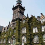 Toronto: Distillery & Old Town Private Walking Tour - What’s Included and What’s Not