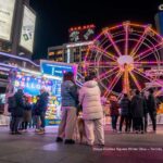 Toronto: Festive Lights Bus Tour - The Route and Highlights