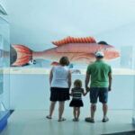 Toronto: Royal Ontario Museum Special Exhibits Voucher - The Sum Up