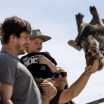 Toronto: Toronto Zoo Entry Ticket - Who Should Visit?