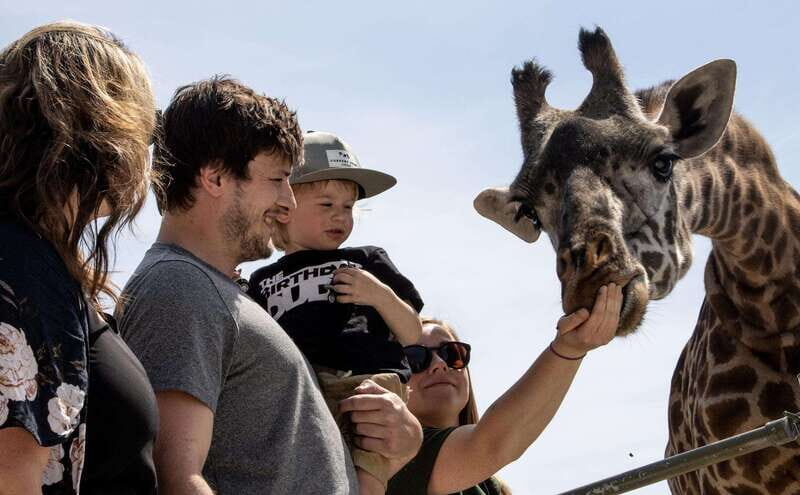 Toronto: Toronto Zoo Entry Ticket - Who Should Visit?