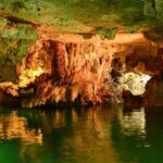 Tortugas & Cenotes Snorkel With Turtles Tour - Authentic Experiences and Review Insights