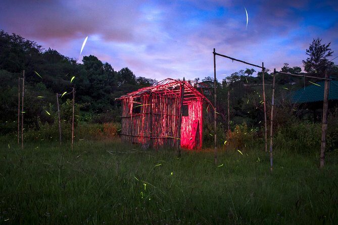 Totláli fireflies sighting - Why the Cost Is Worth It
